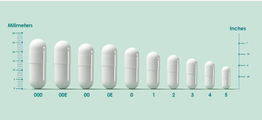 Capsule Size Chart - melacoll